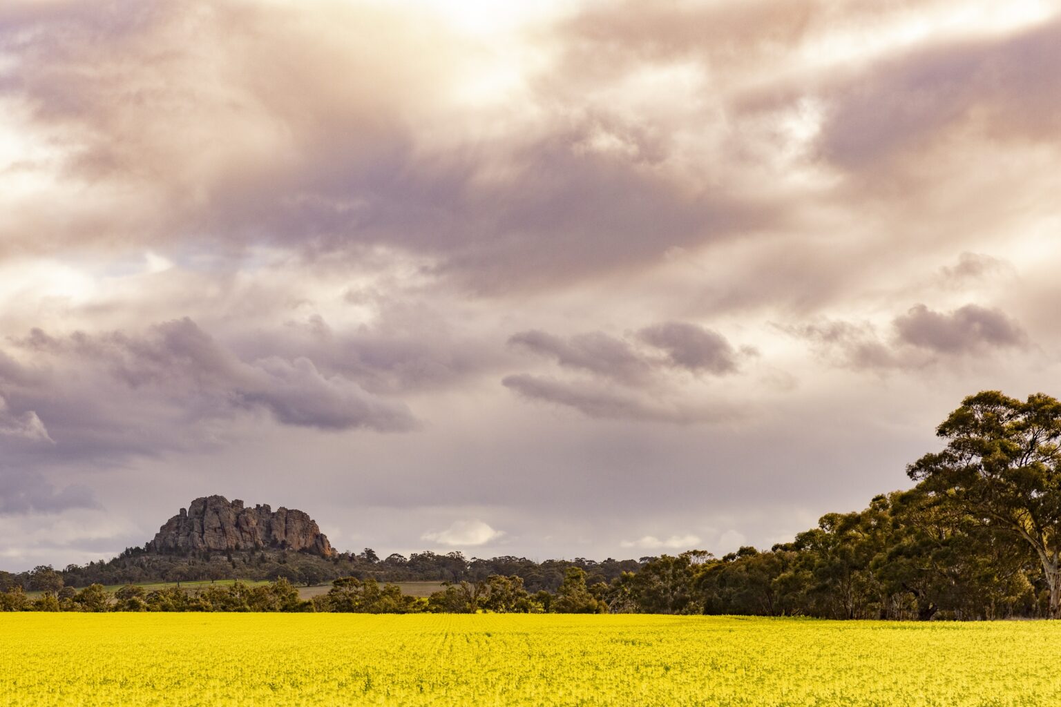 6 Climbing Areas at Risk if the Arapiles Bans Proceed - Vertical Life