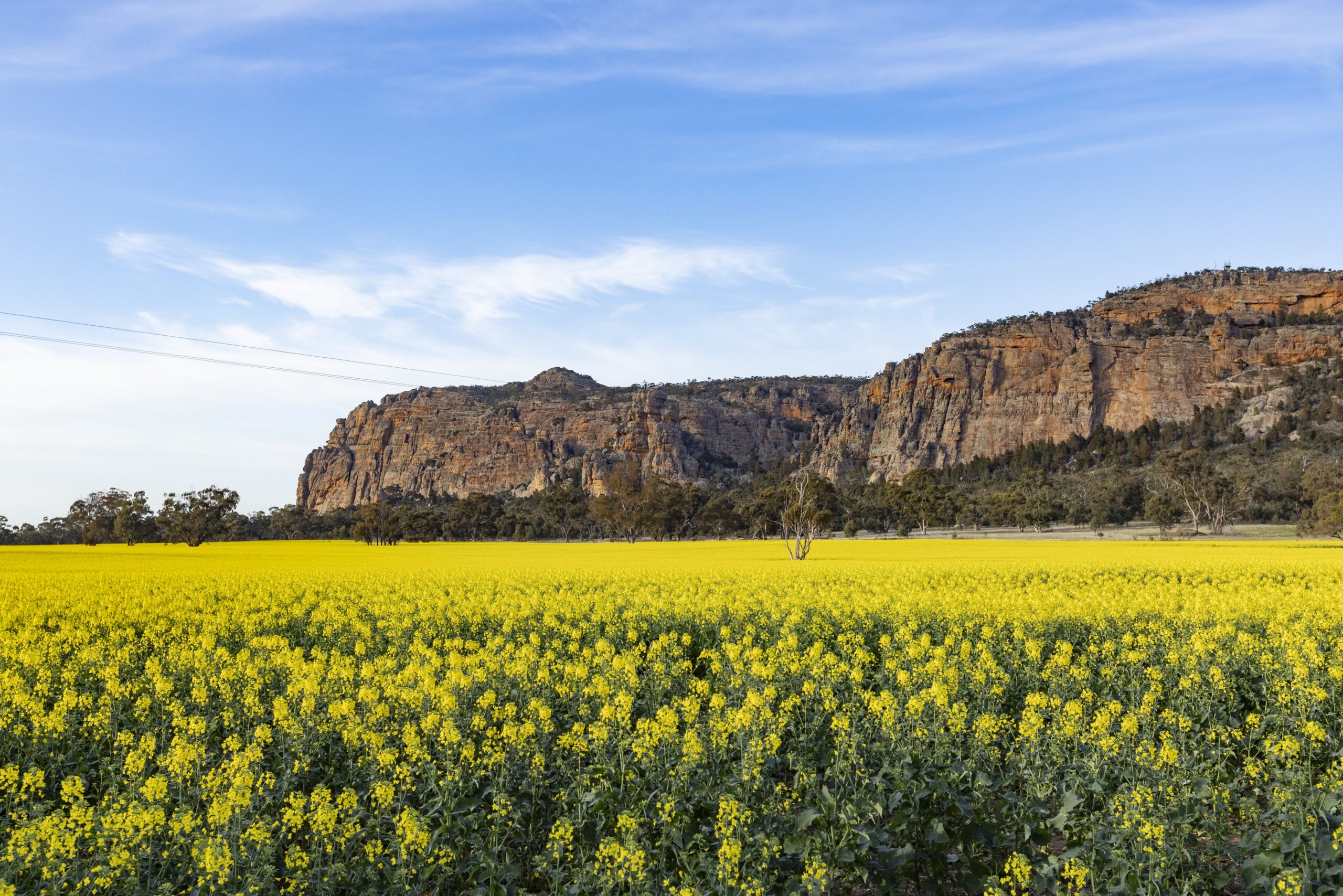 6 Climbing Areas at Risk if the Arapiles Bans Proceed - Vertical Life
