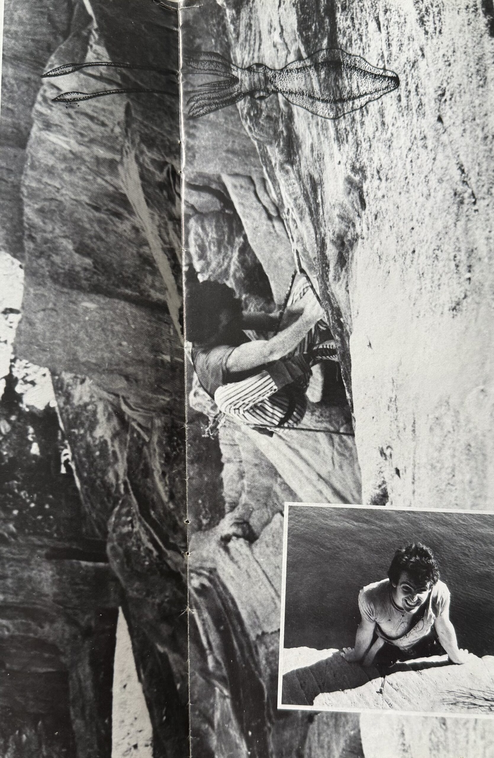 Fear and Loathing - The Sea Cliffs of Sydney - Vertical Life