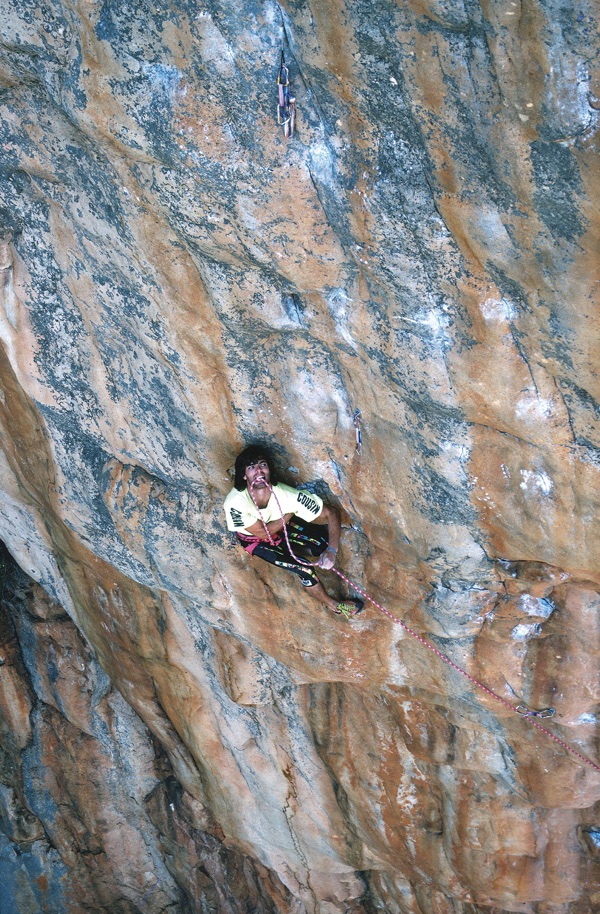 40 Years of Punks in the Gym - Vertical Life